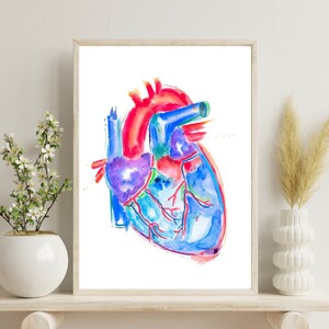 Heart Anatomy, Cardiology Art, Heart Decor, Cardiology Department Wall ...