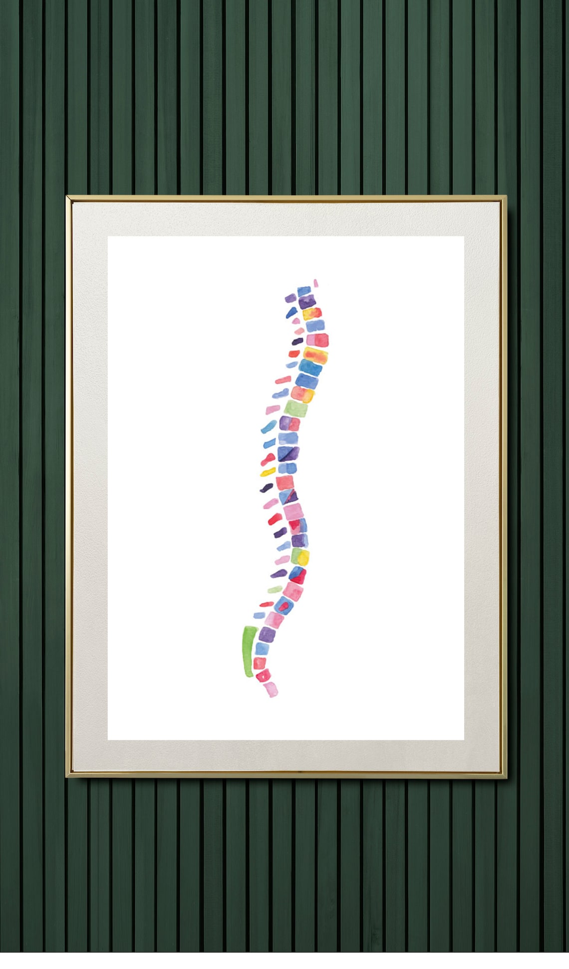 Spine Print Anatomy Art Print Medical Art Spine Art - Etsy
