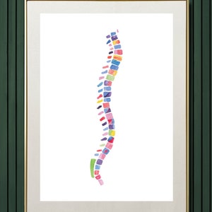 Spine Print Anatomy Art Print Medical Art Spine Art Print Chiropractor ...