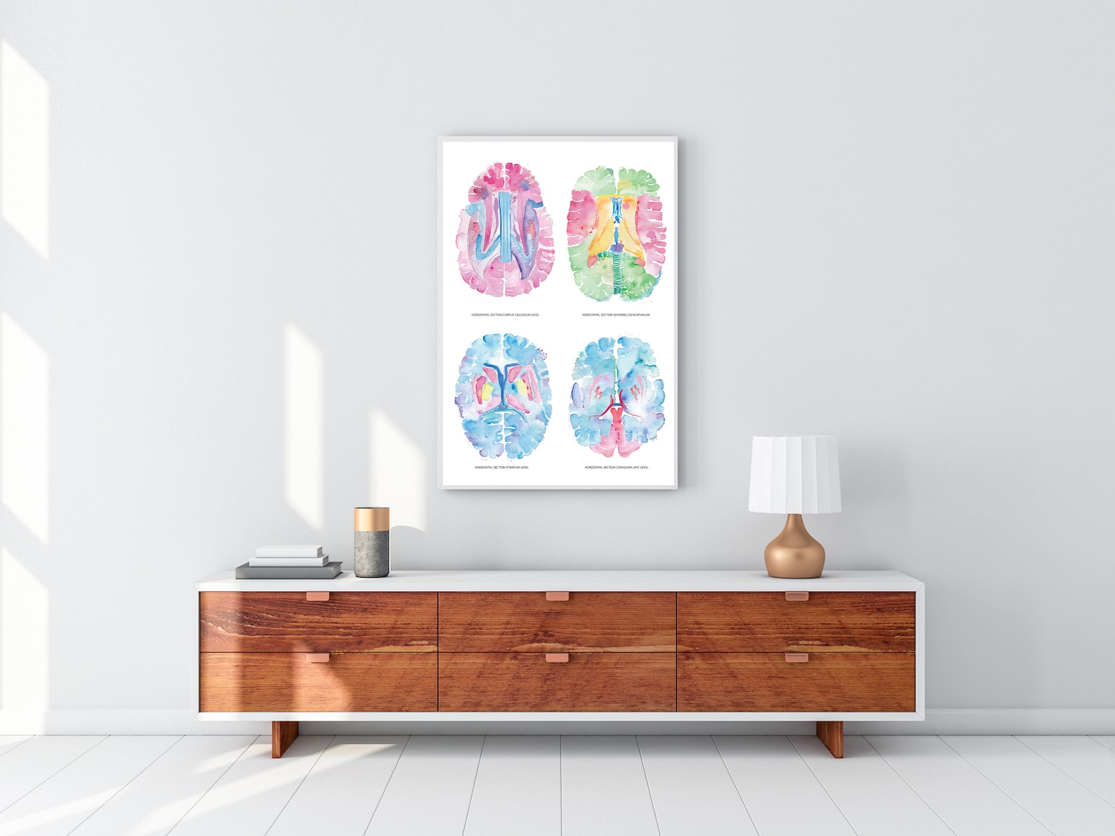 Brain Anatomy Art Neuroscience Art Neurology Art Neurology - Etsy