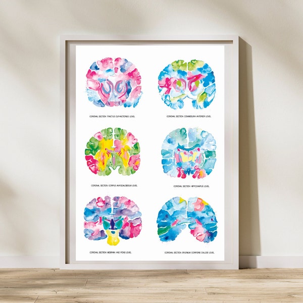 Neuroscience Gifts - 60+ Gift Ideas for 2024