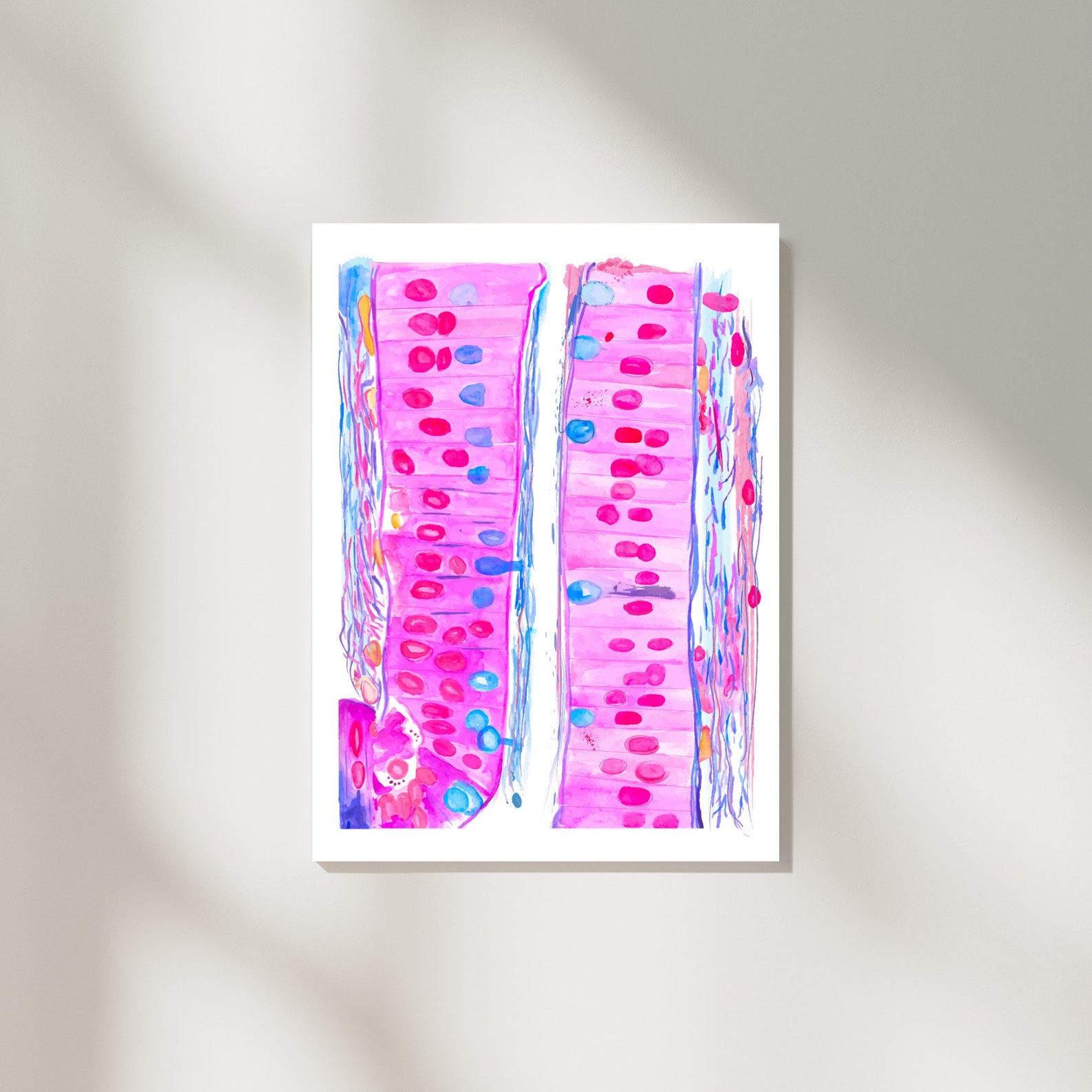 Duodenum Histology Art, Histology Artwork, Pathology Art, Endoscopy ...