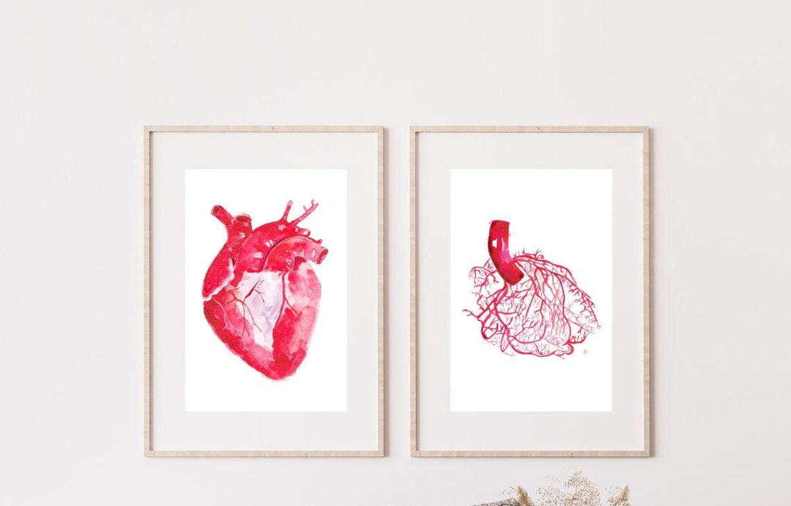 Heart Anatomy Coronary Angiogram Art, Cardiology Interventional ...