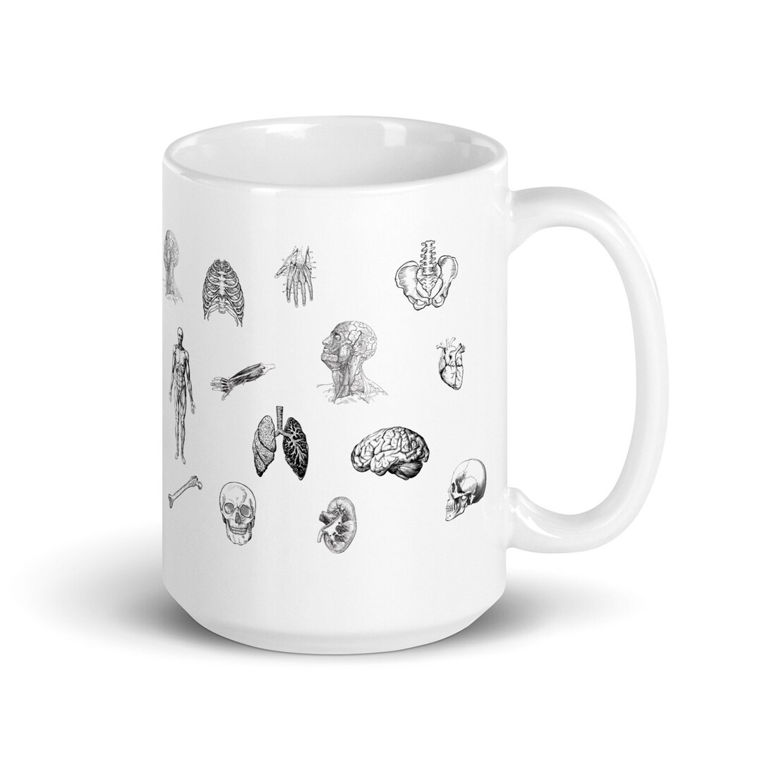Anatomy Mug Medical Student Mug Medical Student Gift Physician Mug ...