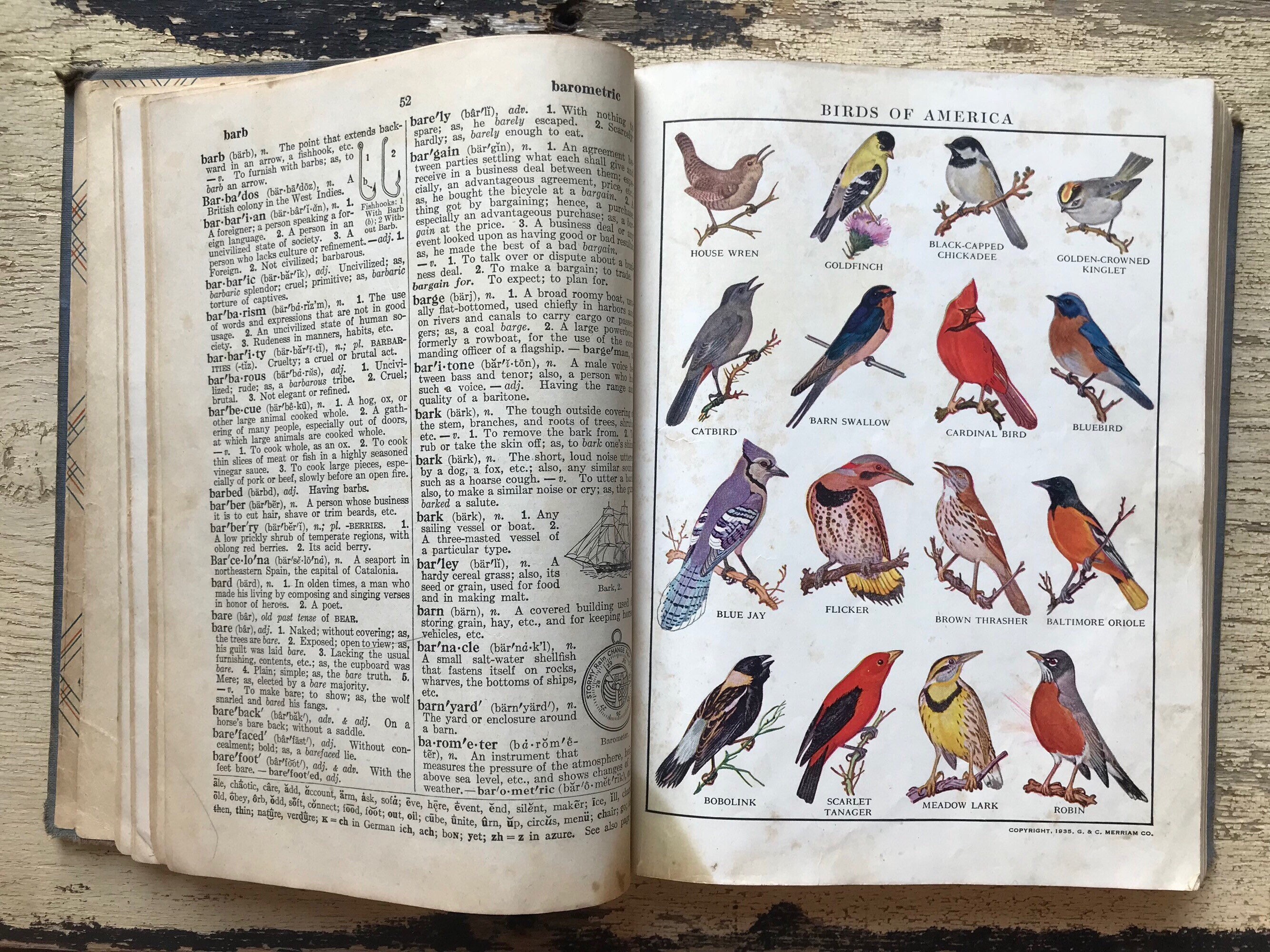 Free Domestic Shipping--a Dictionary for Boys and Girls Webster's ...