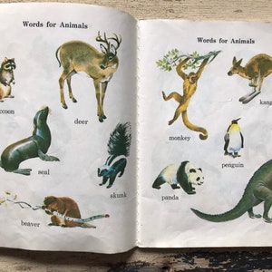 Free Domestic Shippingfun With Our Family: the New Basic Readers 1962 ...