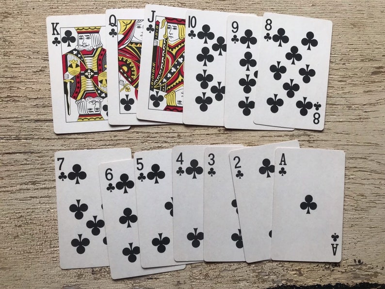 Stancraft Plastic Coated Playing Cards in Glitter Case - Etsy