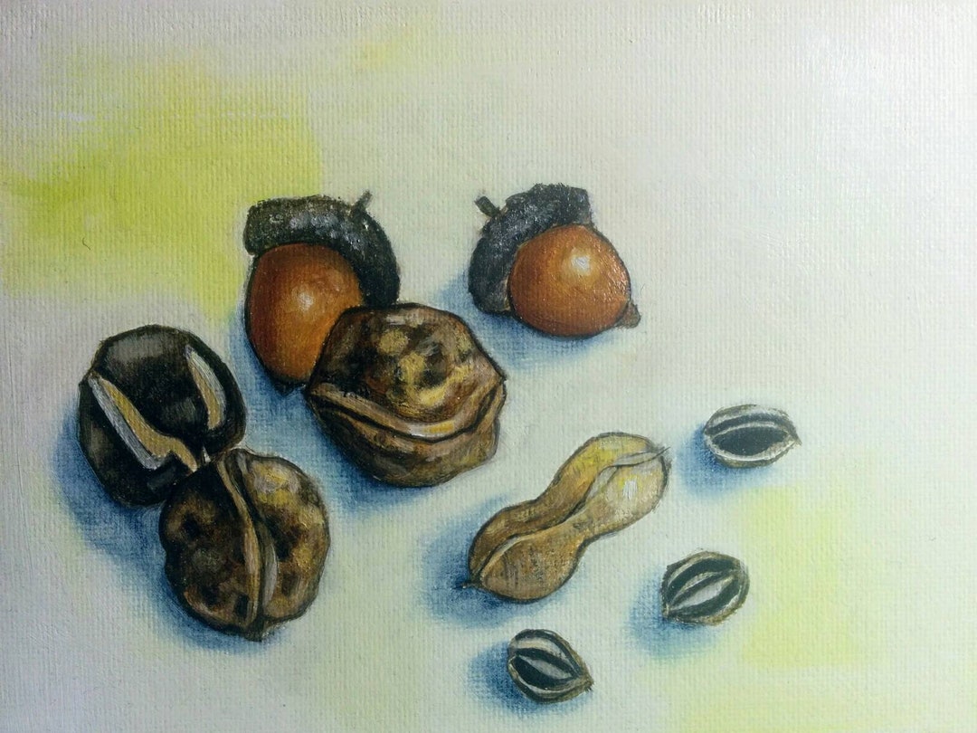 Hand Painted - Oil Painting - Nuts & Seeds - 5x7 - Etsy