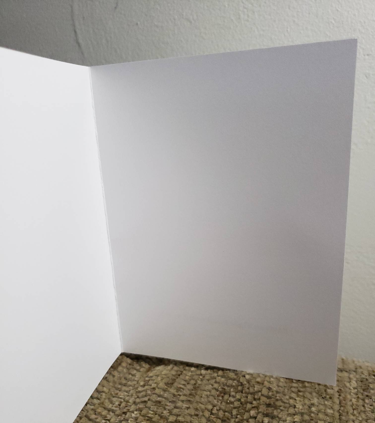 Assorted LANDSCAPE Note Cards boxed Set of 10 Blank Note | Etsy