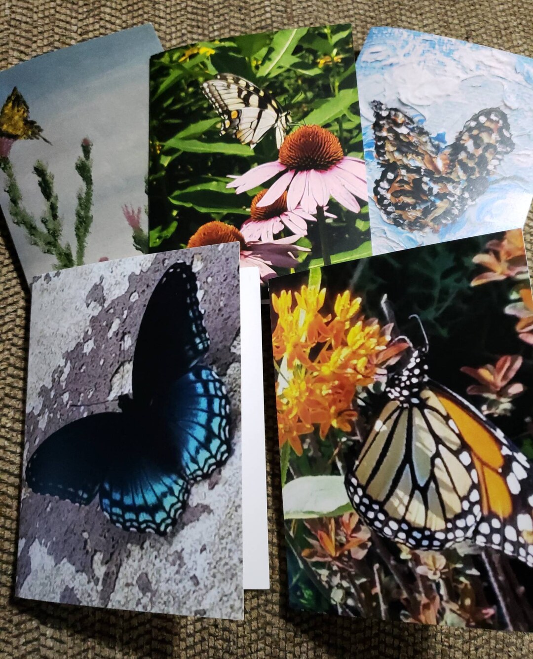 Assorted BUTTERFLY Note Cards (boxed Set of 10 Blank Note Cards With ...
