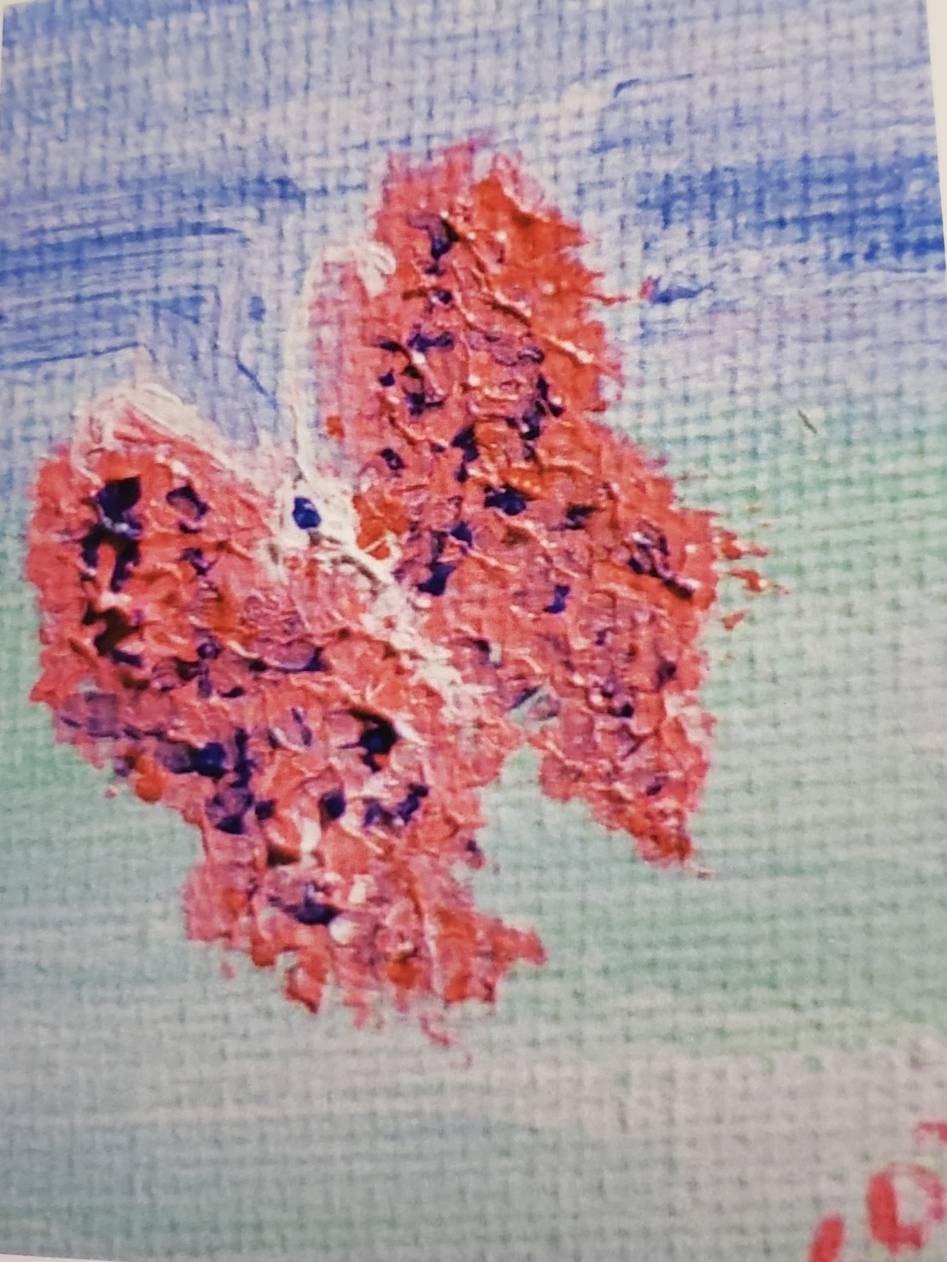 Butterfly for Syd (1 Blank Note Card With White Envelope) - Etsy