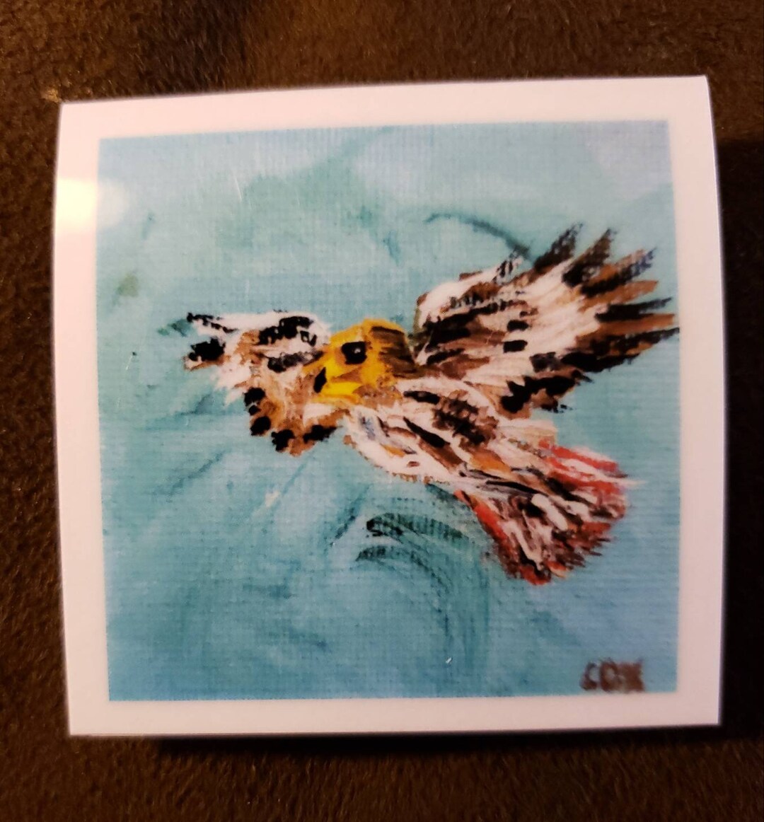 Red-tailed Hawk (laminated Magnetic Bookmark) - Etsy
