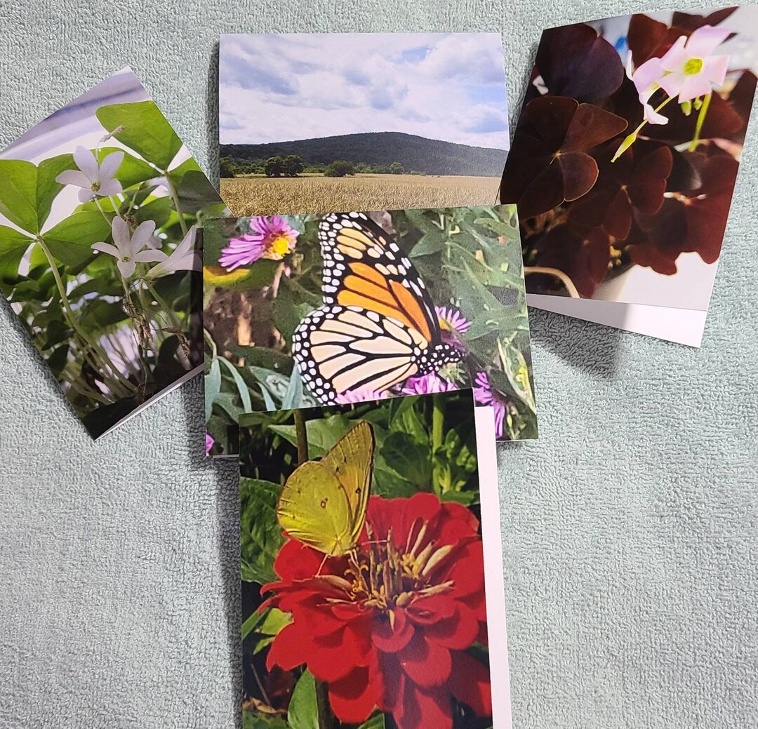 Assorted PHOTOGRAPHY Note Cards (boxed Set of 10 Blank Note Cards With ...