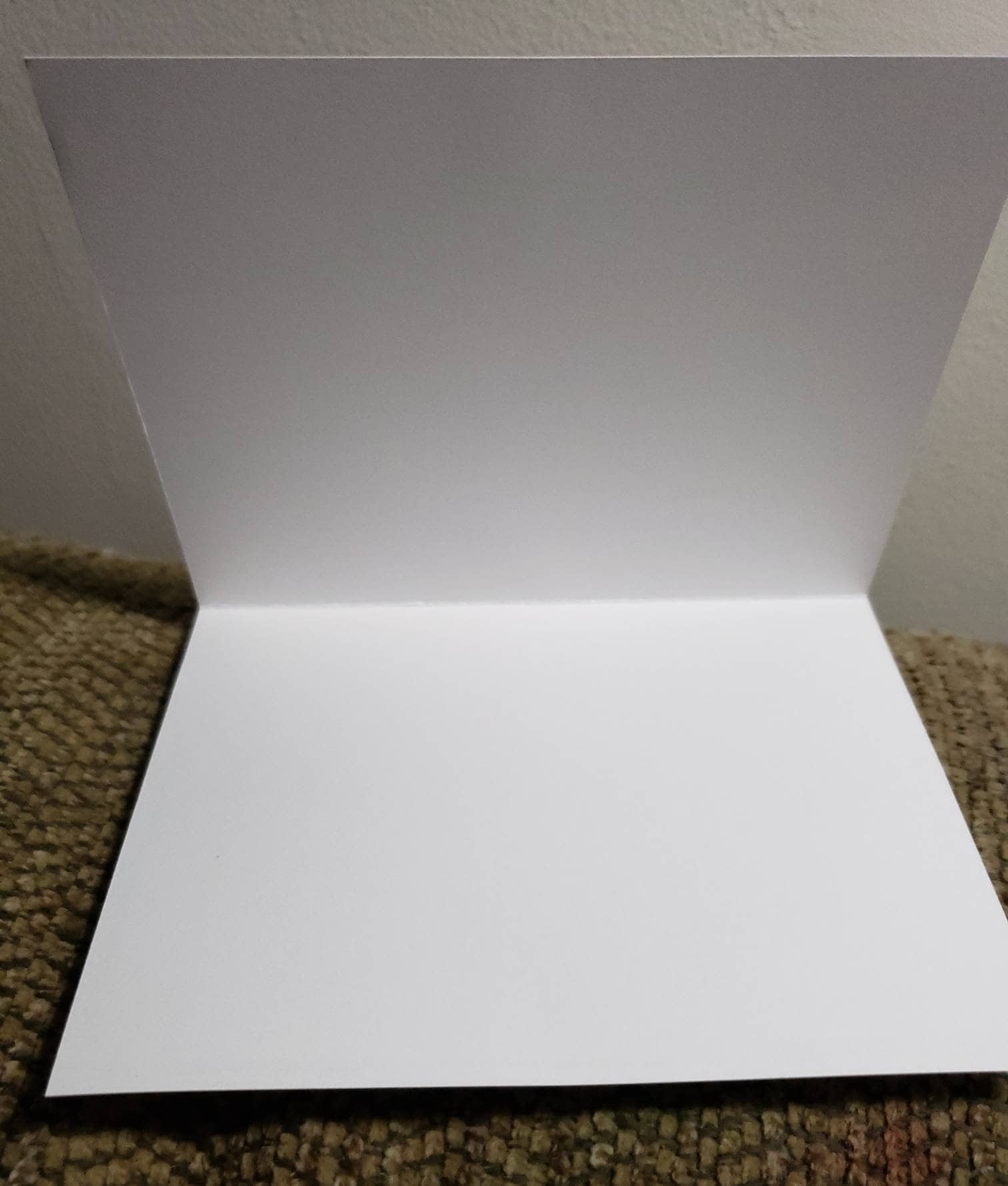 Assorted LANDSCAPE Note Cards (boxed Set of 10 Blank Note Cards With ...