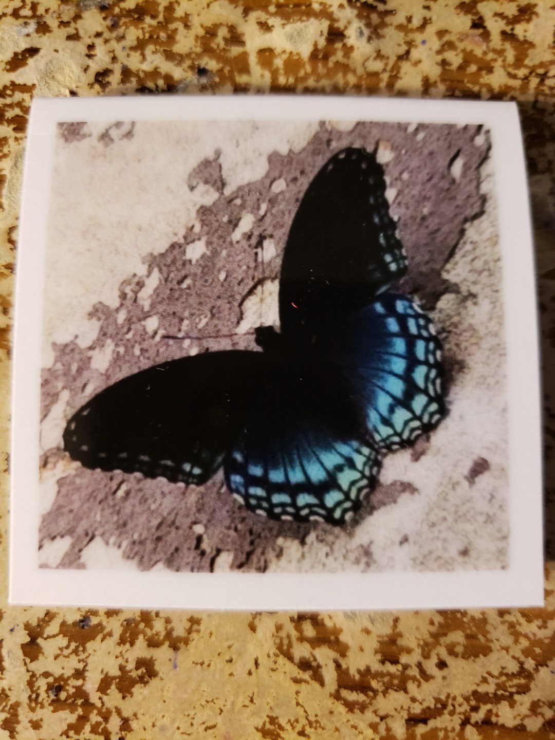 Blue Butterfly (laminated Magnetic Bookmark) - Etsy