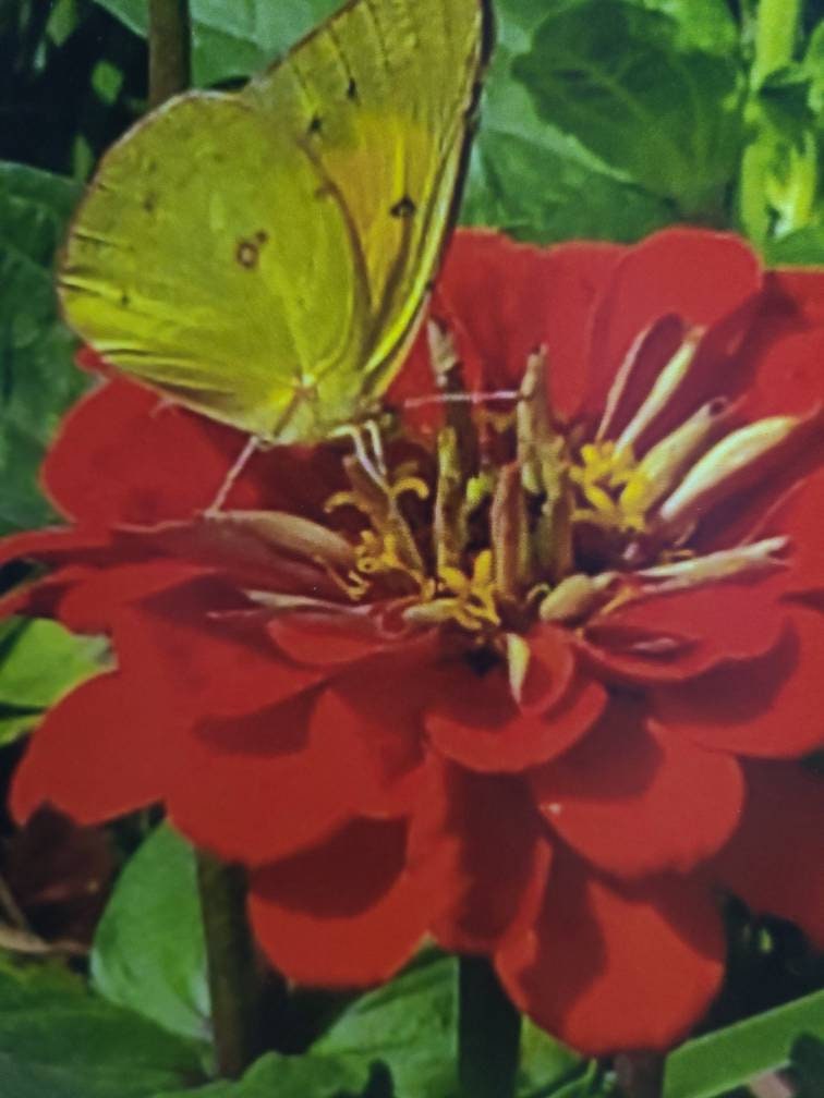 Assorted PHOTOGRAPHY Note Cards boxed Set of 10 Blank Note - Etsy