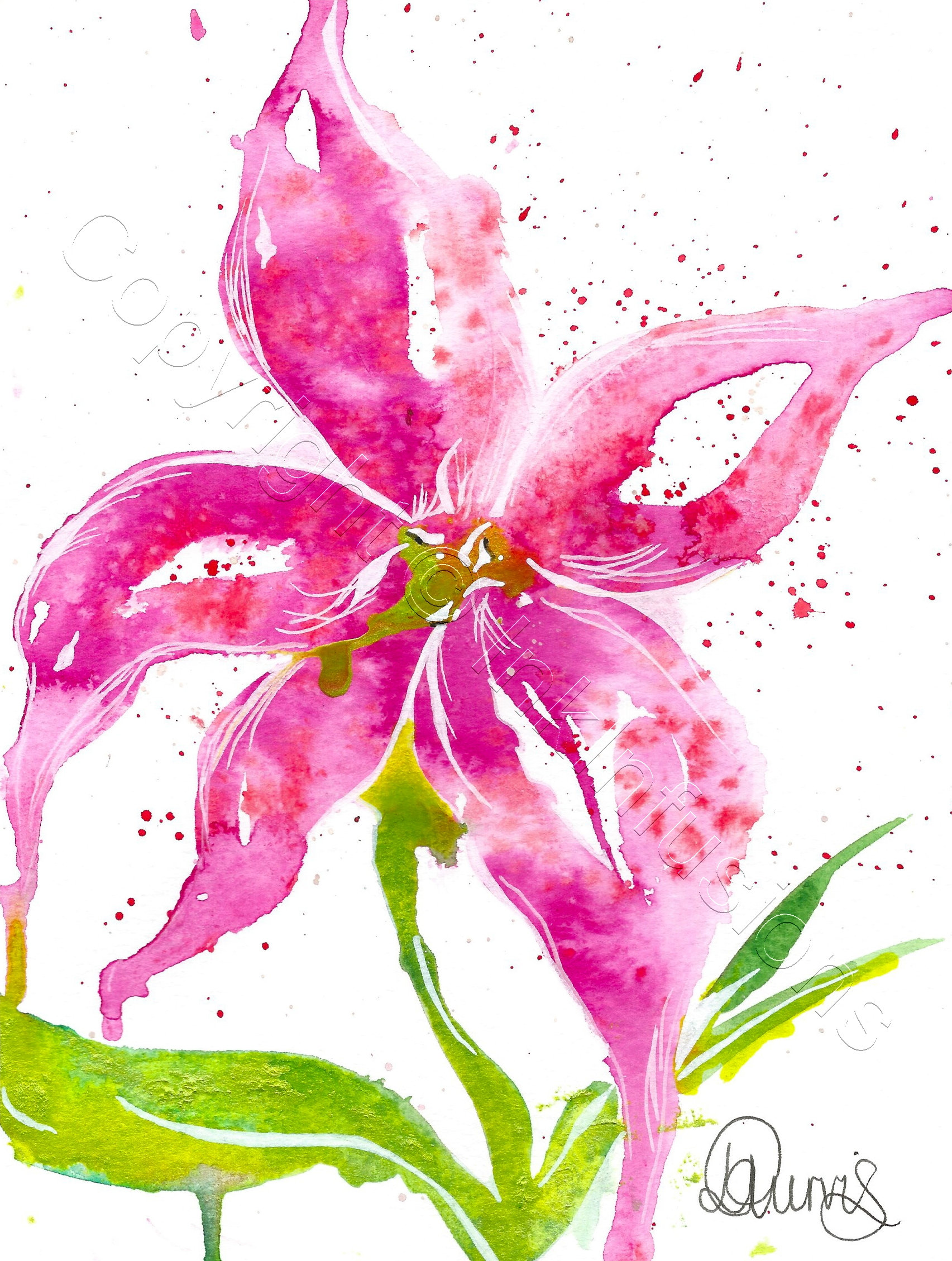 A4 Lily Print Art & Collectibles Prints etna.com.pe