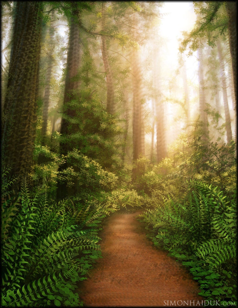 Forest Print Set - Etsy