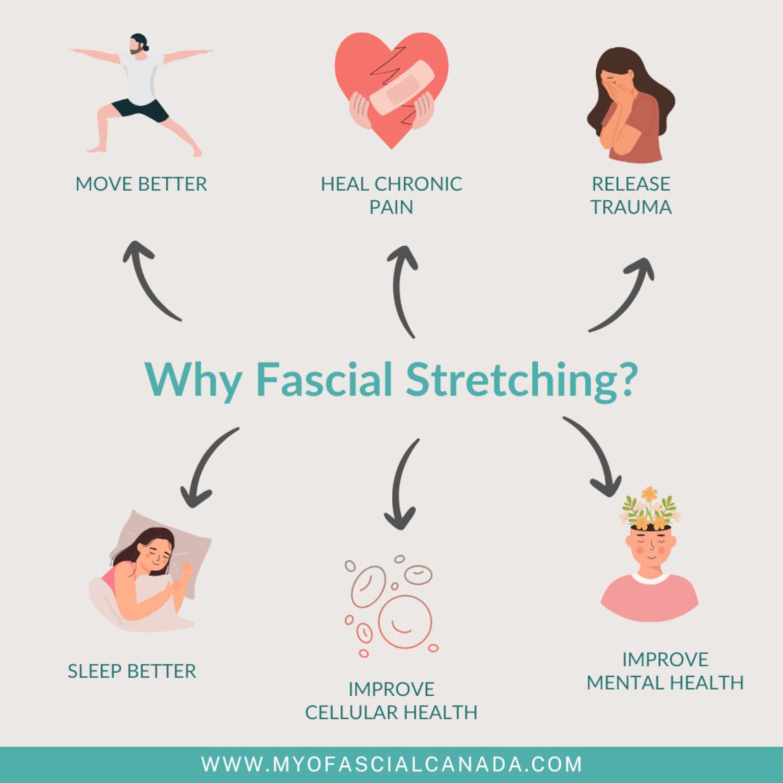 Fascia Stretches for Nervous System Regulation, Trauma Release ...