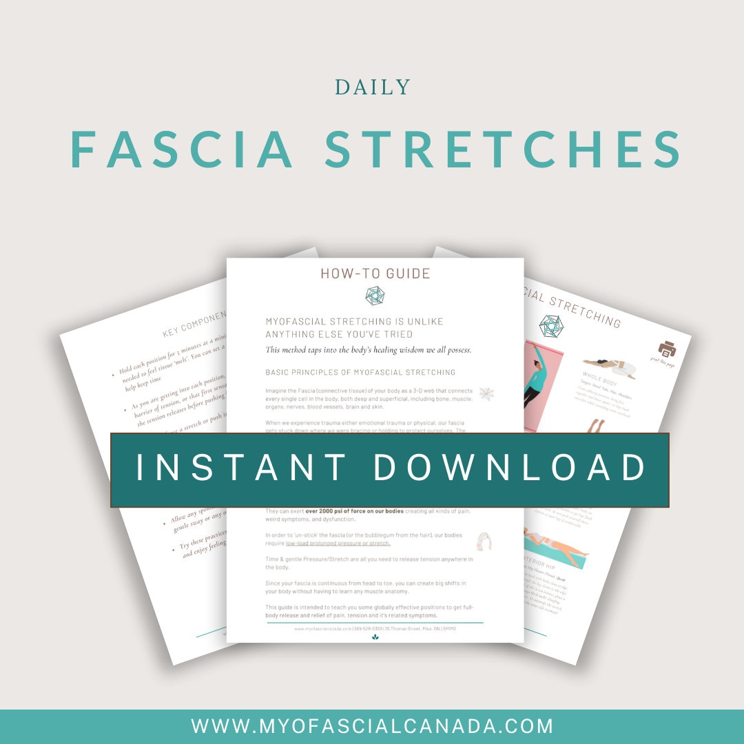 Fascia Stretches for Nervous System Regulation, Trauma Release ...