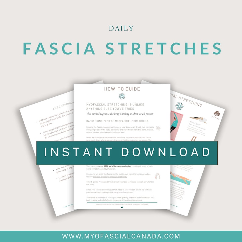 Fascia Stretches Guide, Trauma Release, Somatic Exercises (digital ...