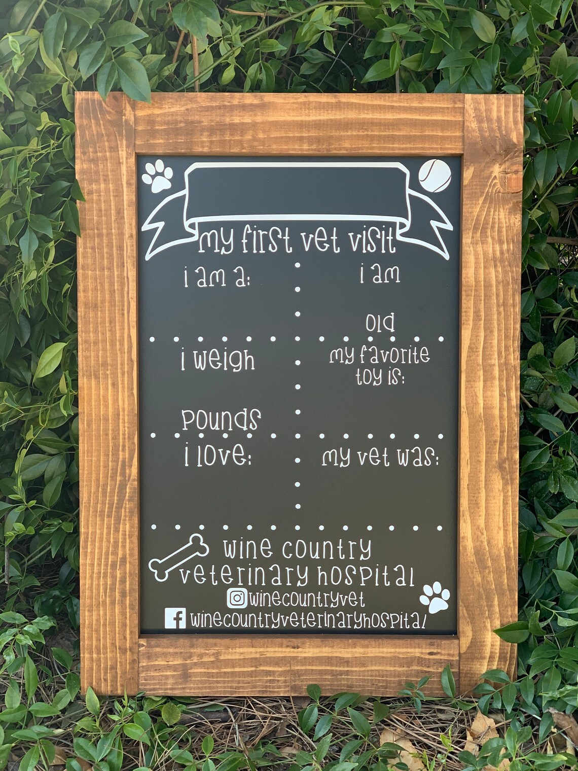 Veterinarian Sign New Puppy Sign New Kitten Sign First | Etsy