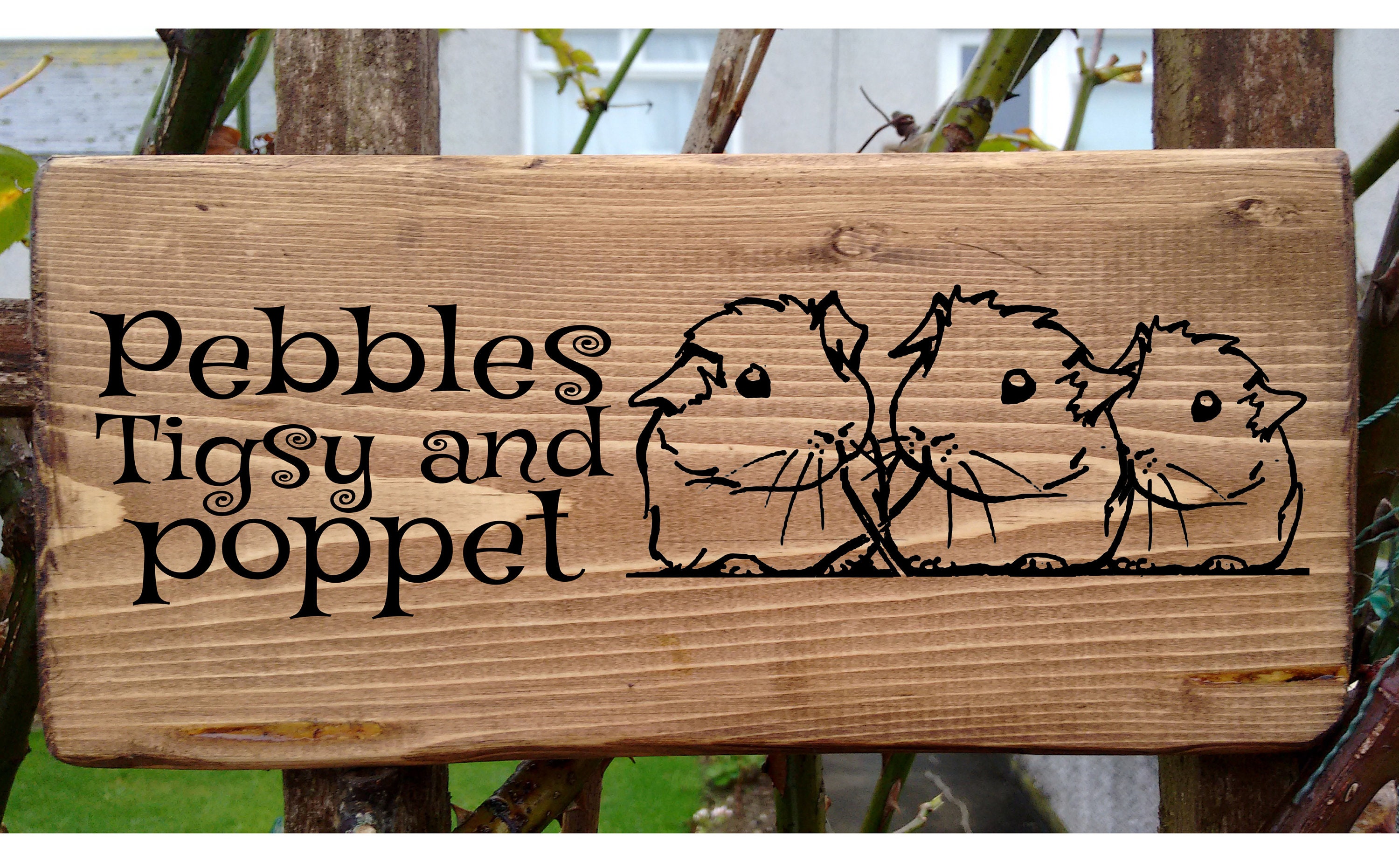 Personalised Guinea Pig Sign Plate Gate Hutch Run Plaque Own - Etsy UK