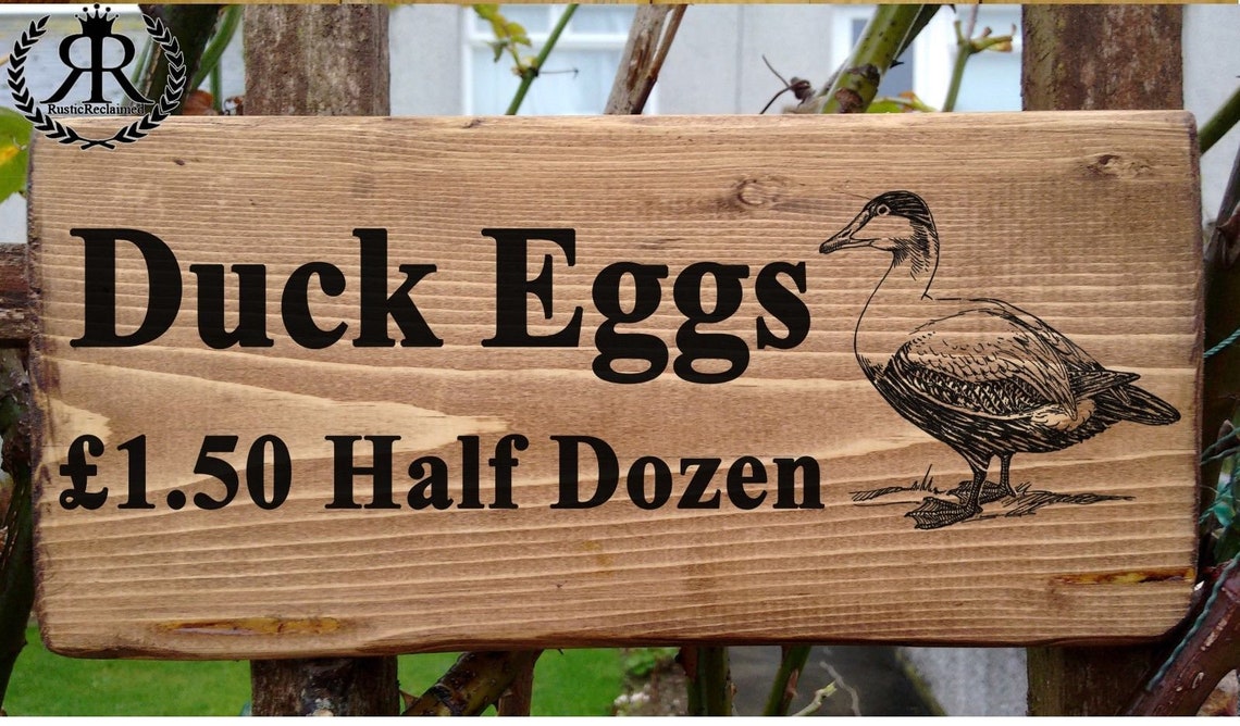 Duck Eggs for Sale Sign Plaque Outdoor Egg Box Fresh - Etsy