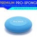 Premium Professional Clay Sponge for Pottery Wheel Throwing - Etsy
