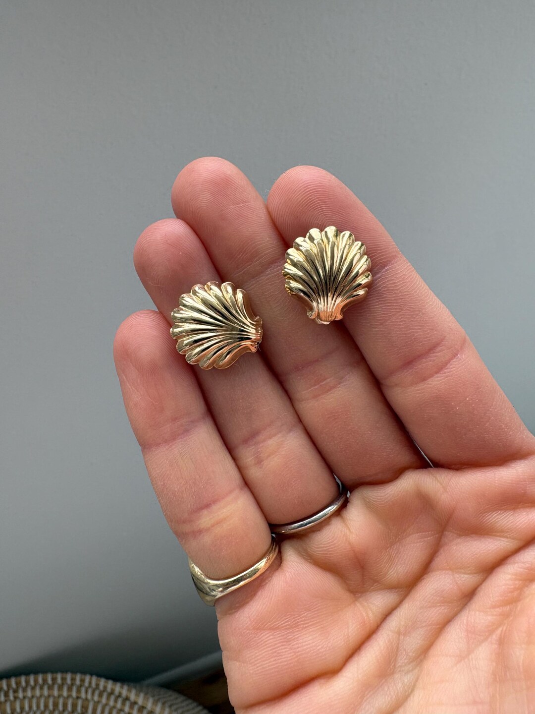 14k Solid Gold Seashell Stud Earrings - Etsy