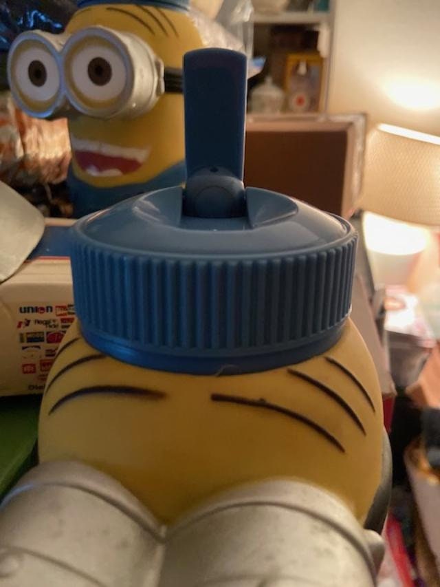 Despicable Me Minion Water Bottle - Etsy