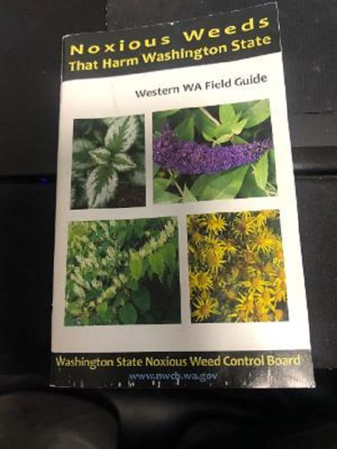 Noxious Weeds That Harm Washington State Small Important Informative ...
