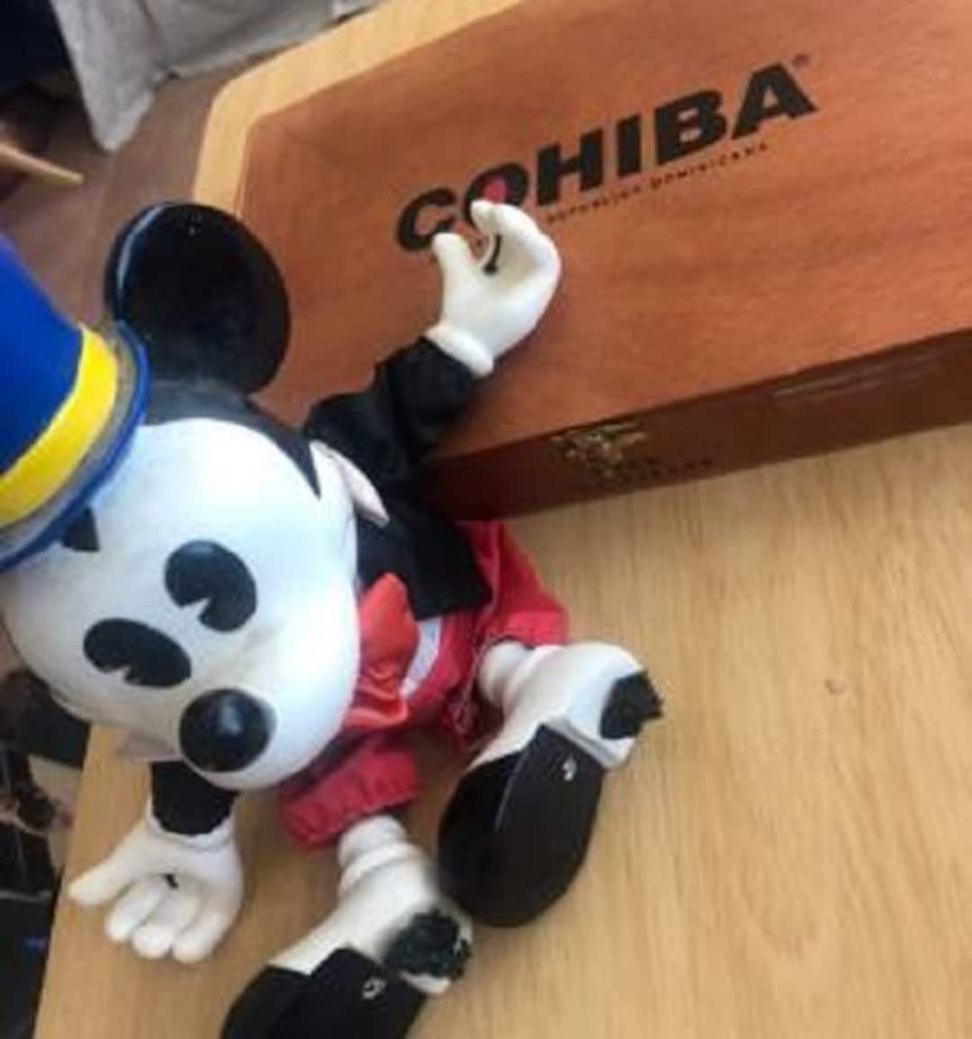 Cohiba Cigar Box Empty Red Velvet Inside - Etsy