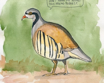 Chukar Partridge Art - Etsy