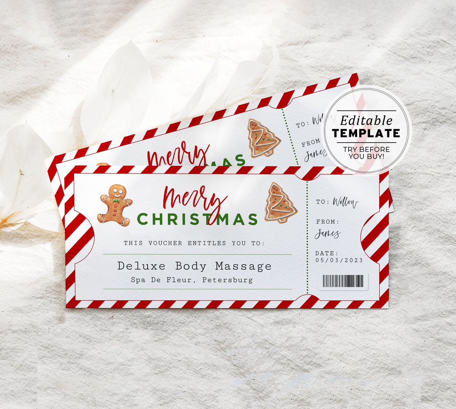 Printable Christmas Spa Treatment Gift Voucher Template Santa - Etsy