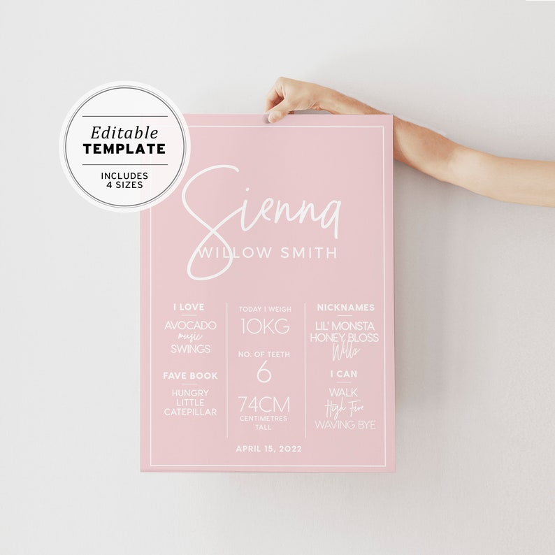 Blush 1st Birthday Milestone Poster, Minimalist First Birthday ...