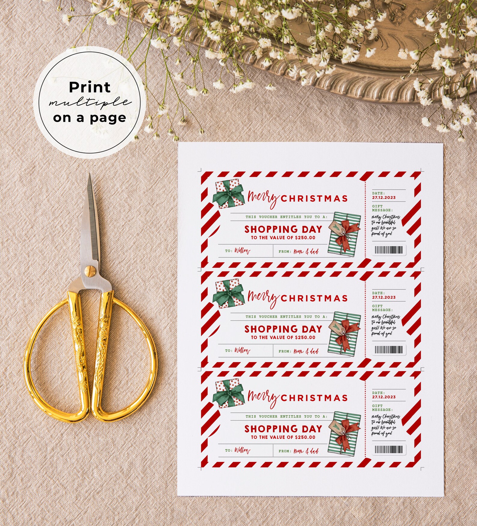 Printable Shopping Spree Christmas Gift Voucher, Shopping Day Gift ...