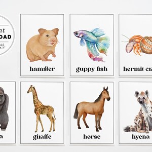 140+ Animal Flash Cards, Montessori Flash Cards, Watercolor Animal ...