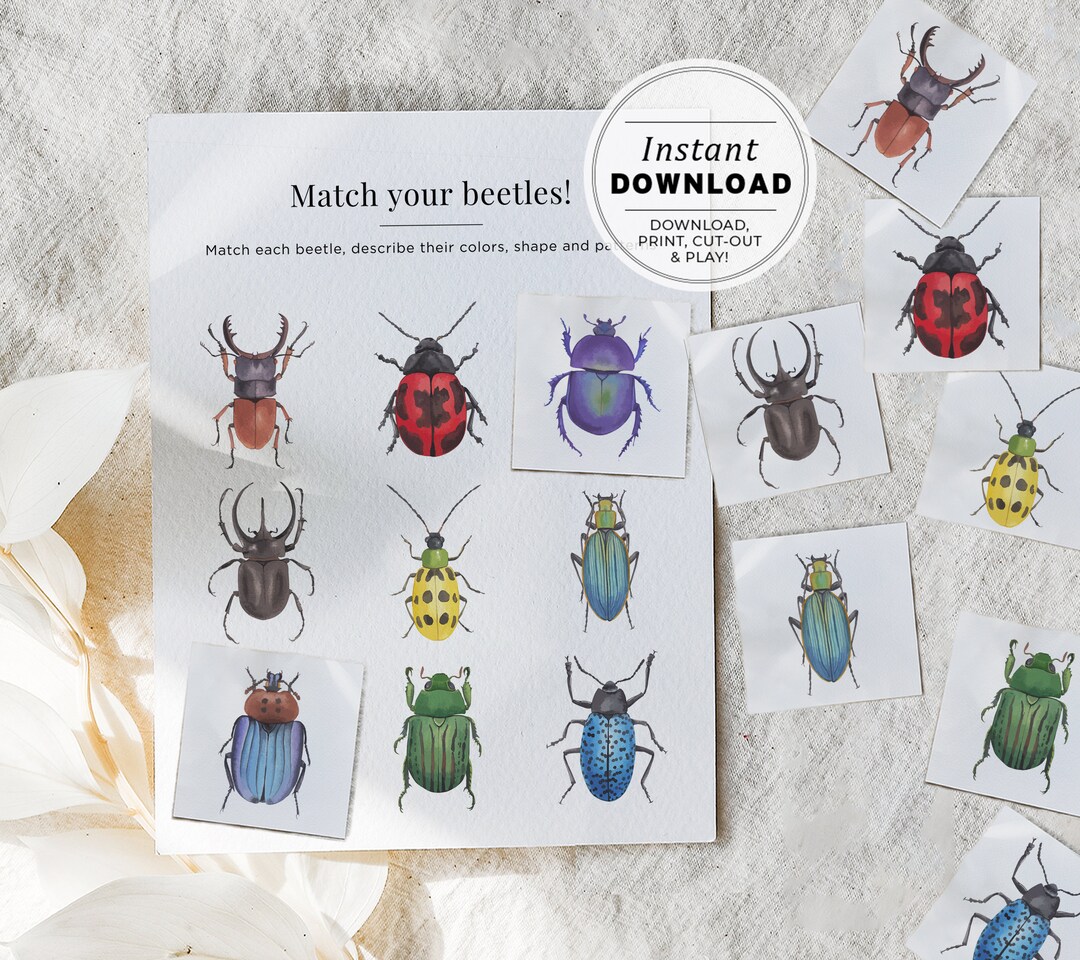 Match the Beetle Kids Activity Printable, Montessori Educational Game ...
