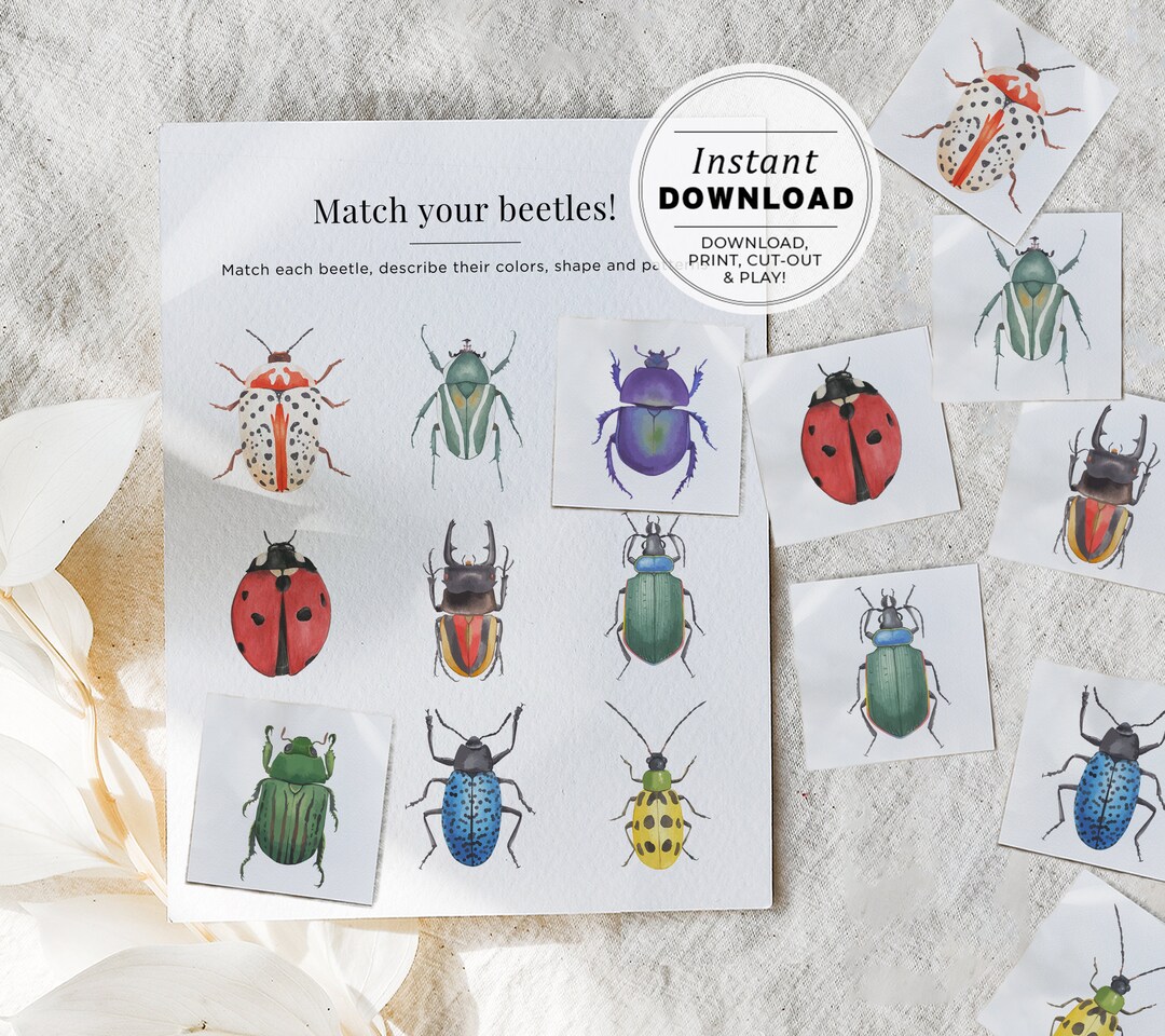 Match the Beetle Kids Activity Printable, Montessori Educational Game ...