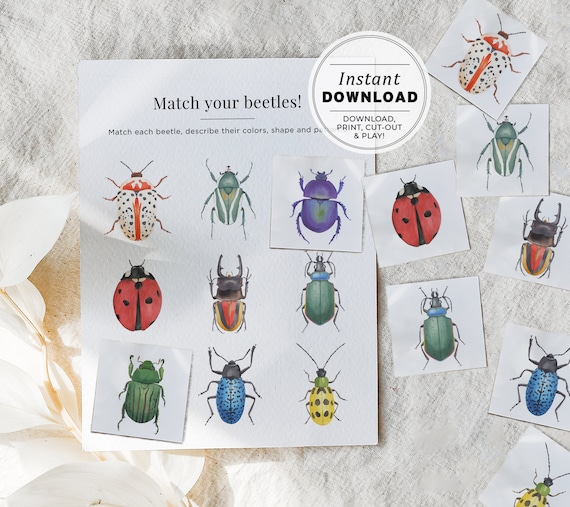 Match the Beetle Kids Activity Printable Montessori - Etsy