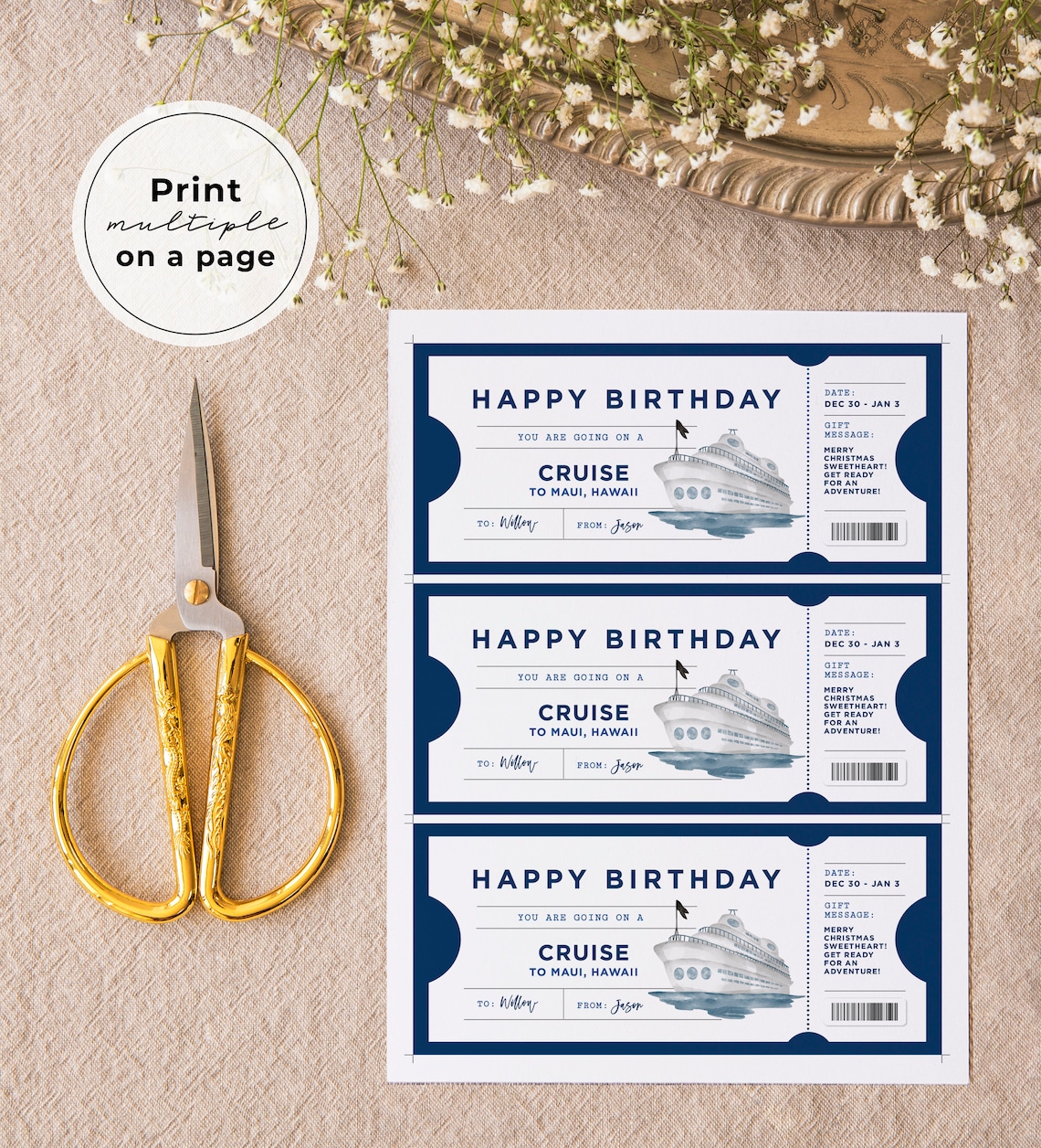 Printable Birthday Cruise Trip Boarding Pass, Cruise Voucher Template ...