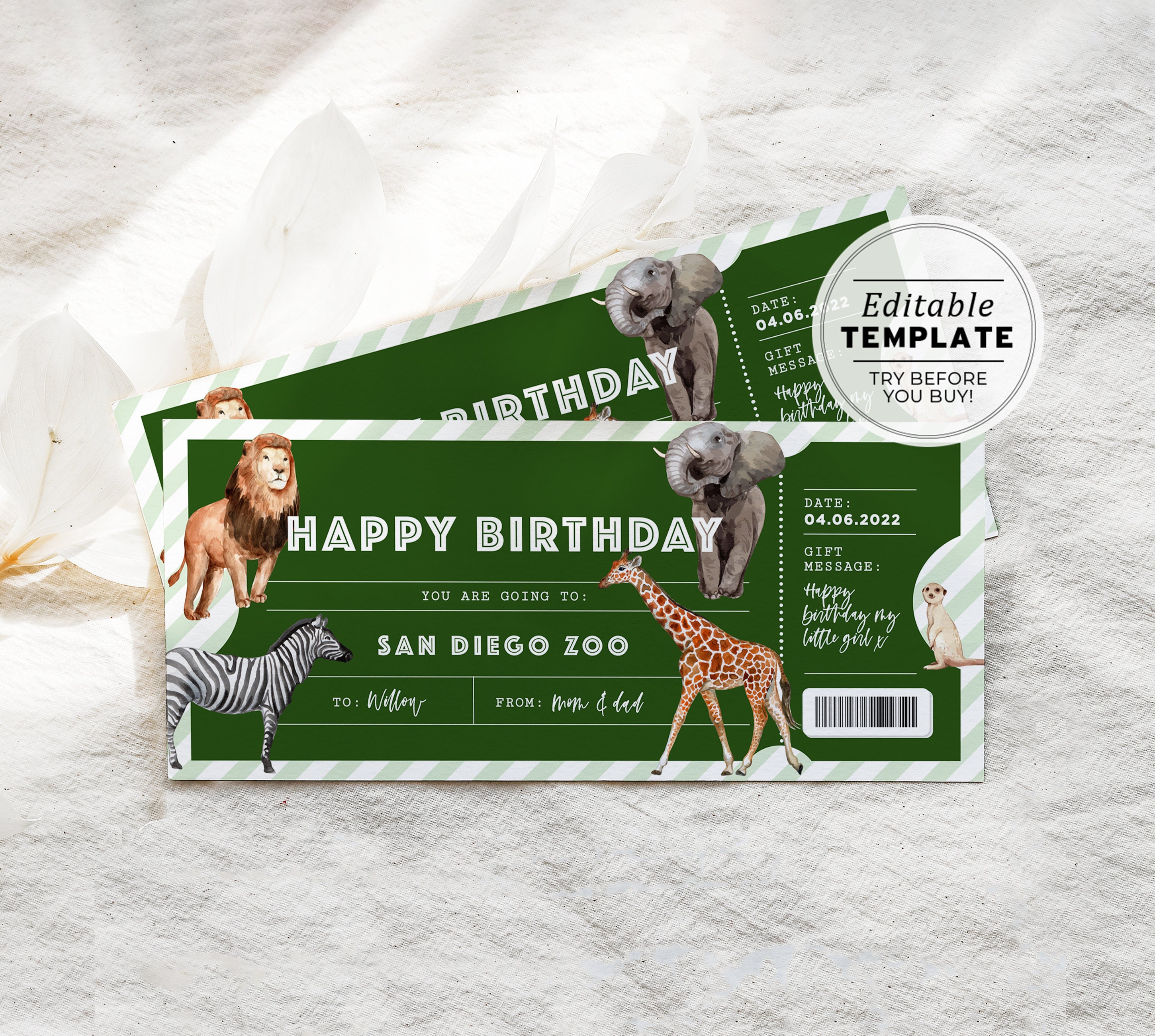 Printable Zoo Ticket Birthday Gift Template Surprise Gift Etsy