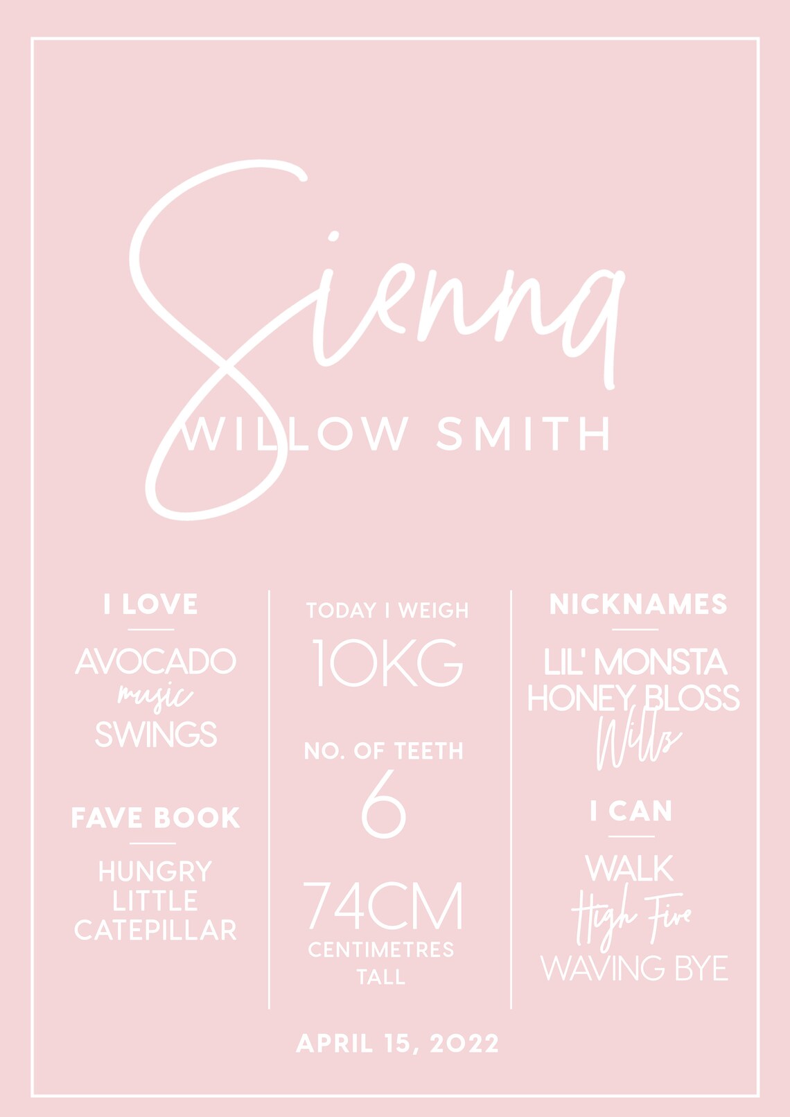 Blush 1st Birthday Milestone Poster, Minimalist First Birthday ...