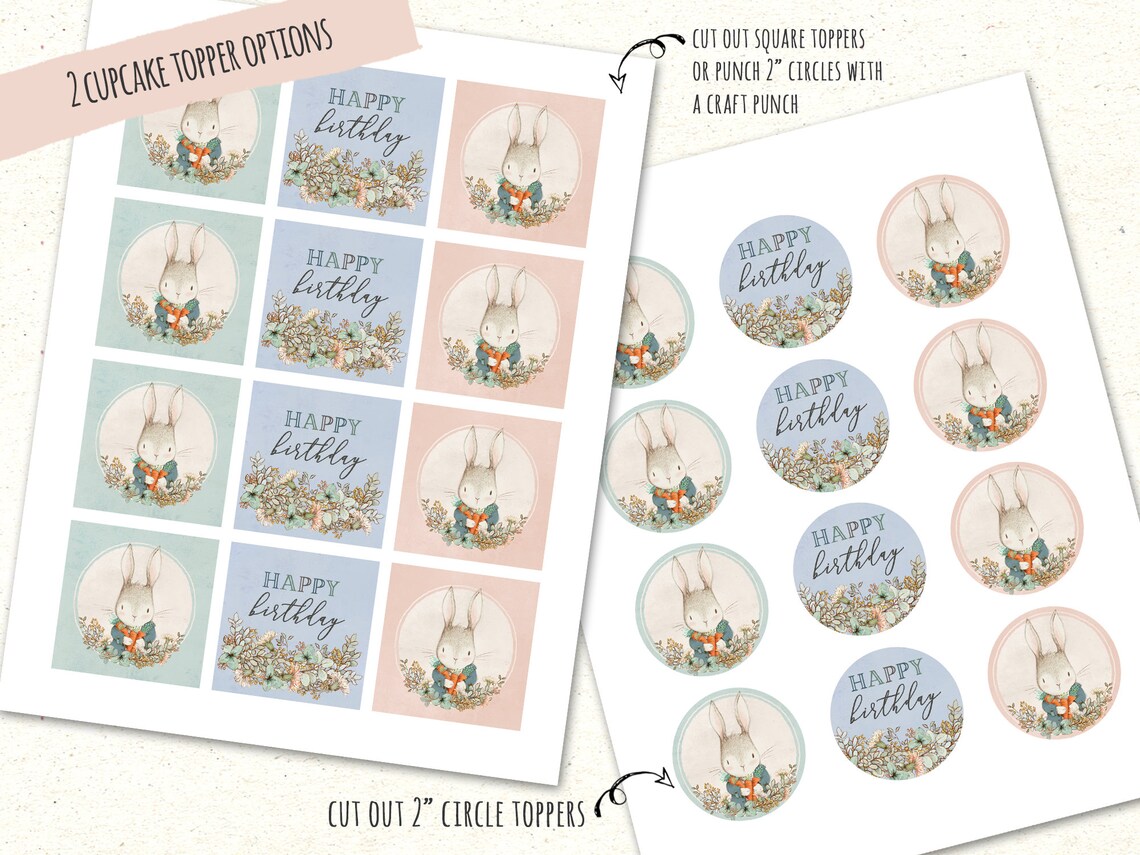 Bunny Invitation Peter Rabbit Invitation Bunny Party - Etsy Canada