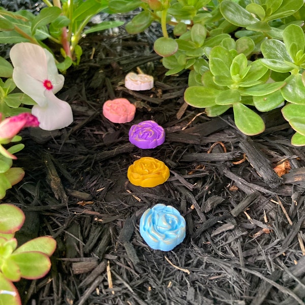 Mini Stepping Stones - Etsy