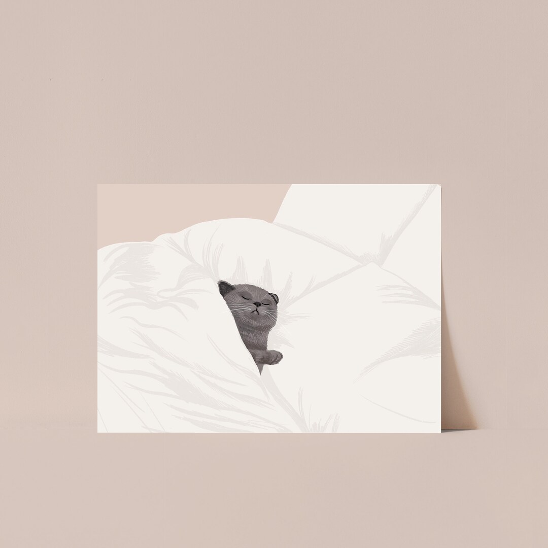 Afternoon Nap Cat Postcard - Etsy