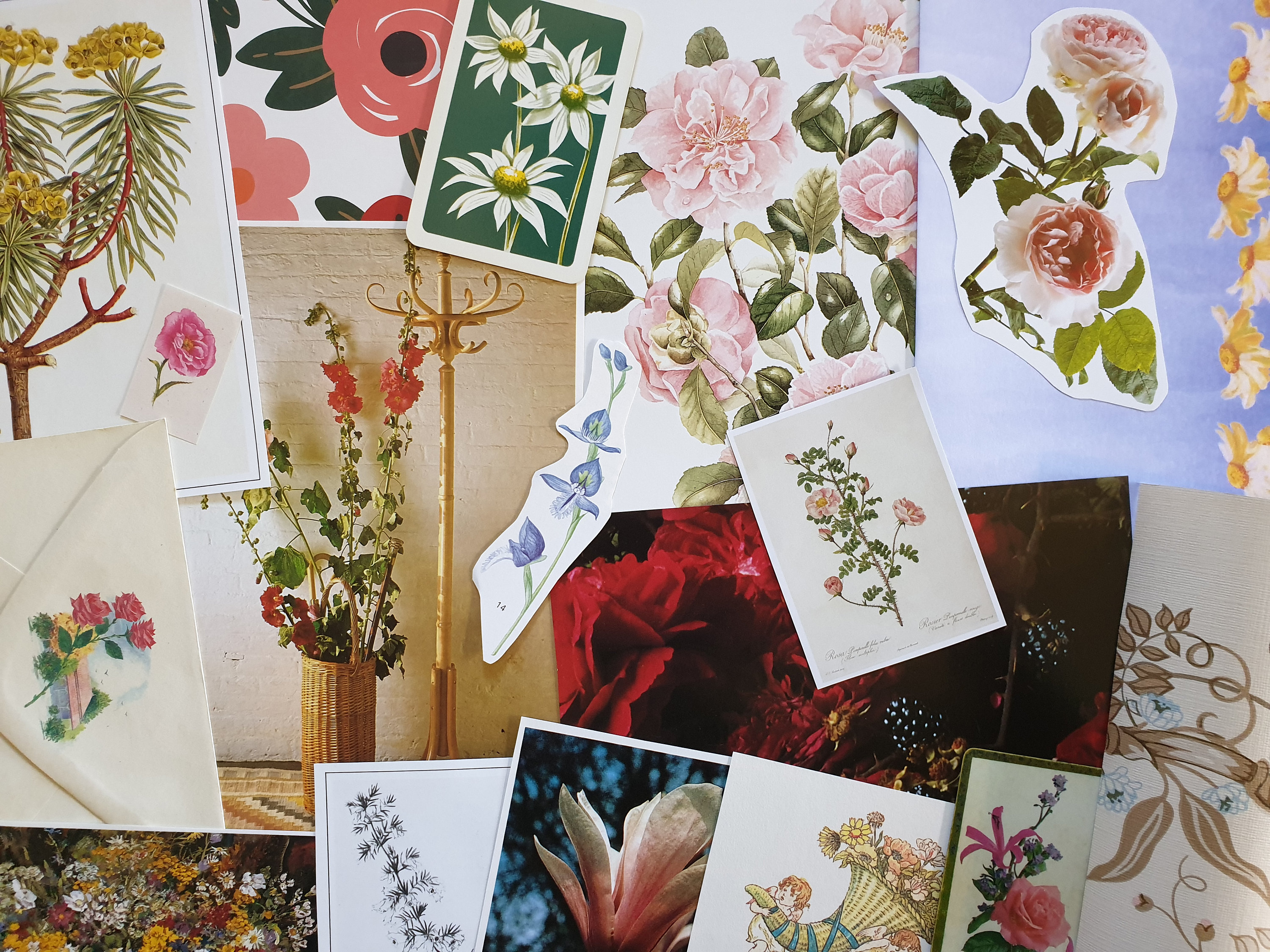 Vintage paper flowers floral flora plant botanical images | Etsy