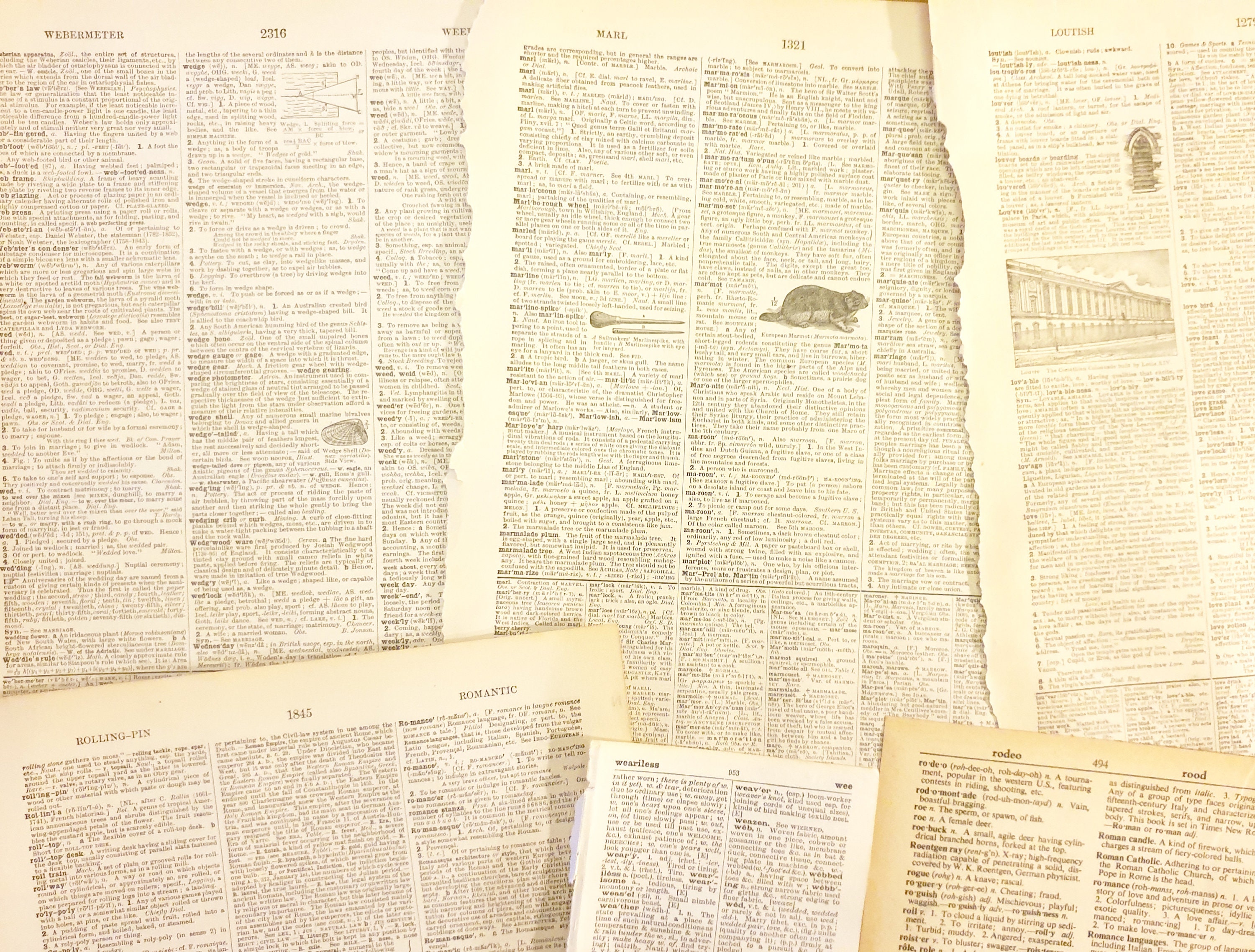 Visual Arts Craft Supplies & Tools Collage Dogs vintage dictionary ...