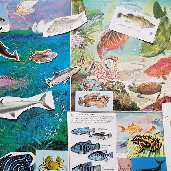 Beach Collage - Etsy Australia